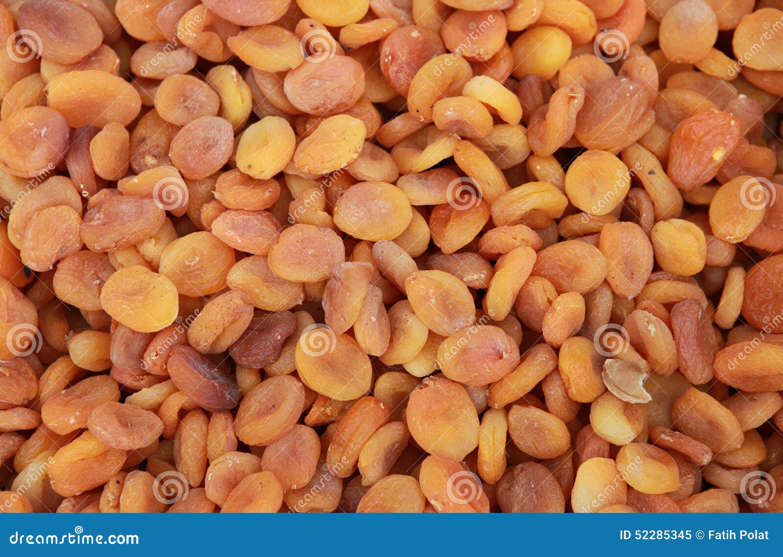 Dried Apricot of Malatya stock image. Image of nature - 52285345
