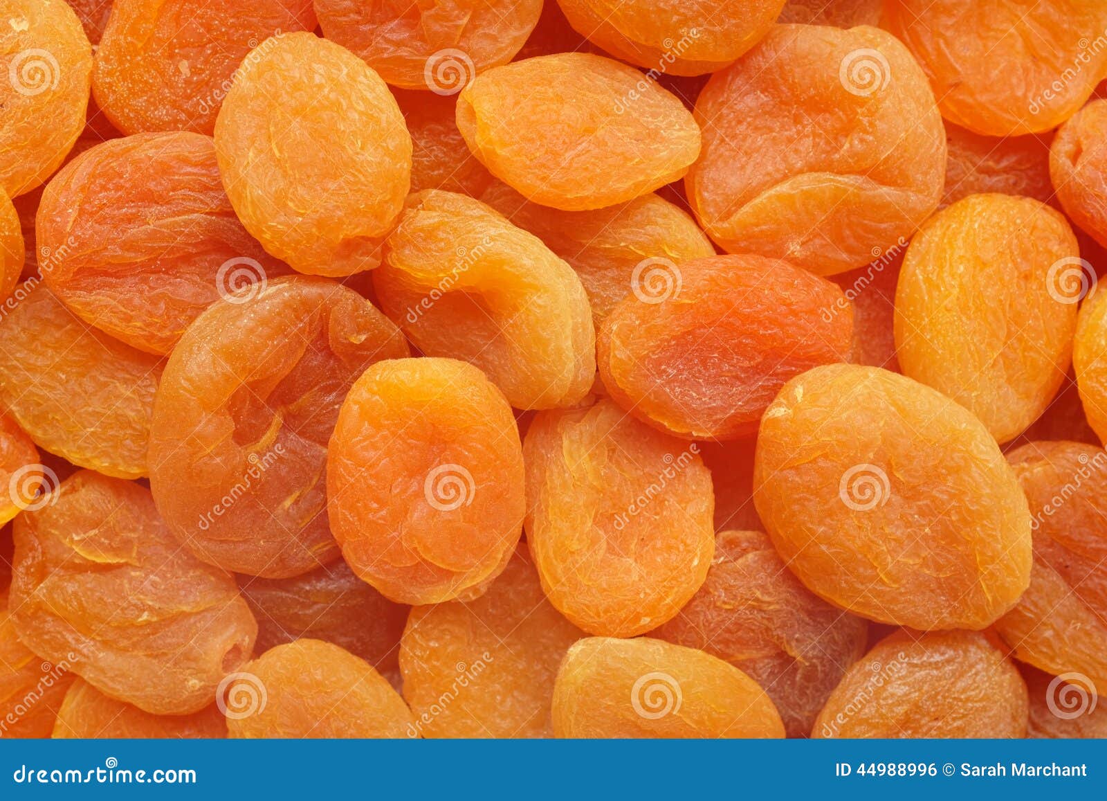 Dried Apricots Abstract Background Texture Stock Photo - Image of ...