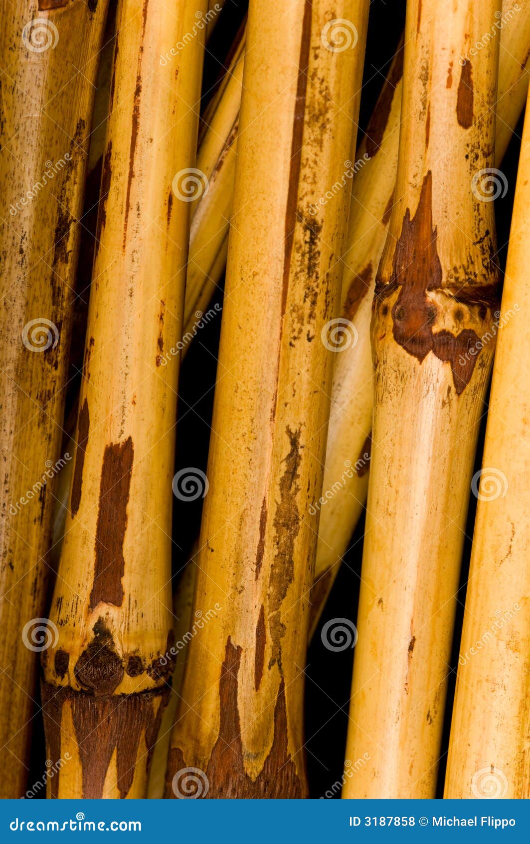 Dried Bamboo Background Picture. Image: 3187858