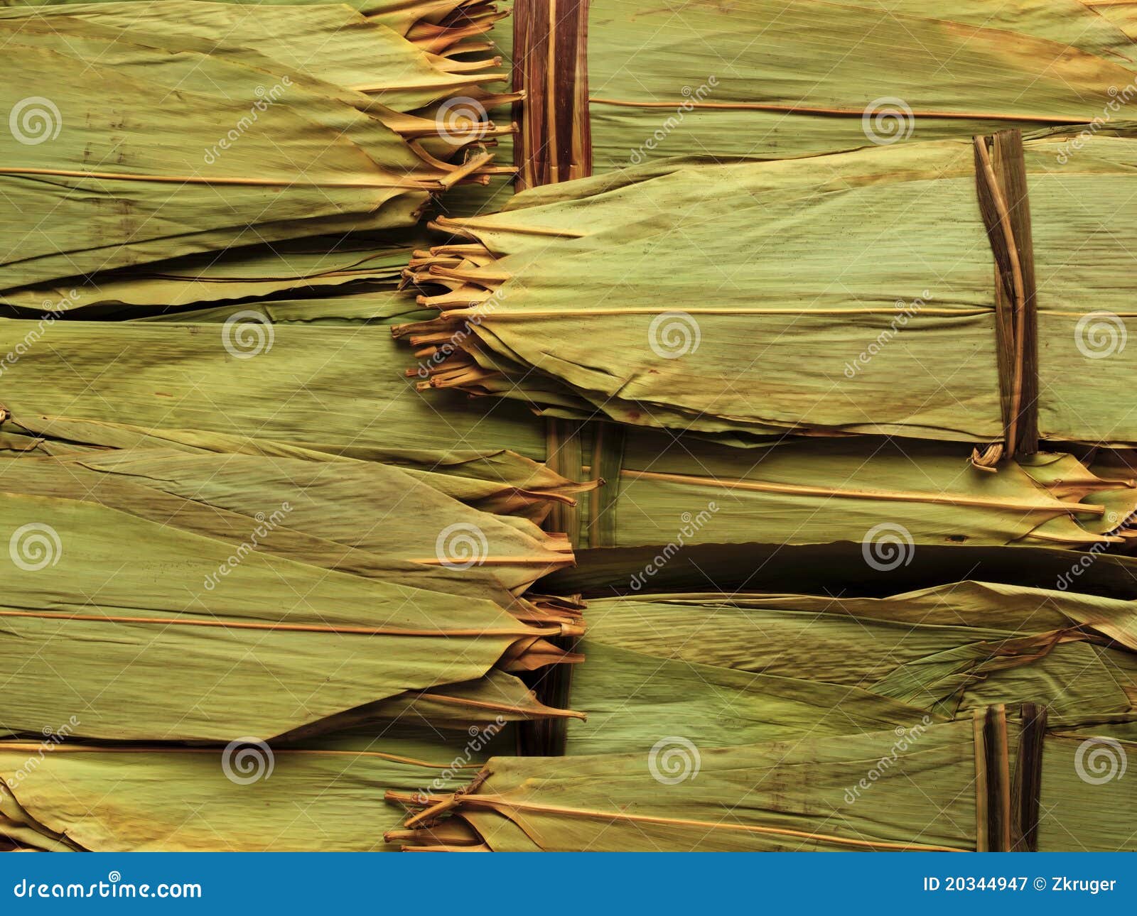 Dried Bamboo Leaf for Wrapping Chinese Meat Dumpli Stock Image - Image ...