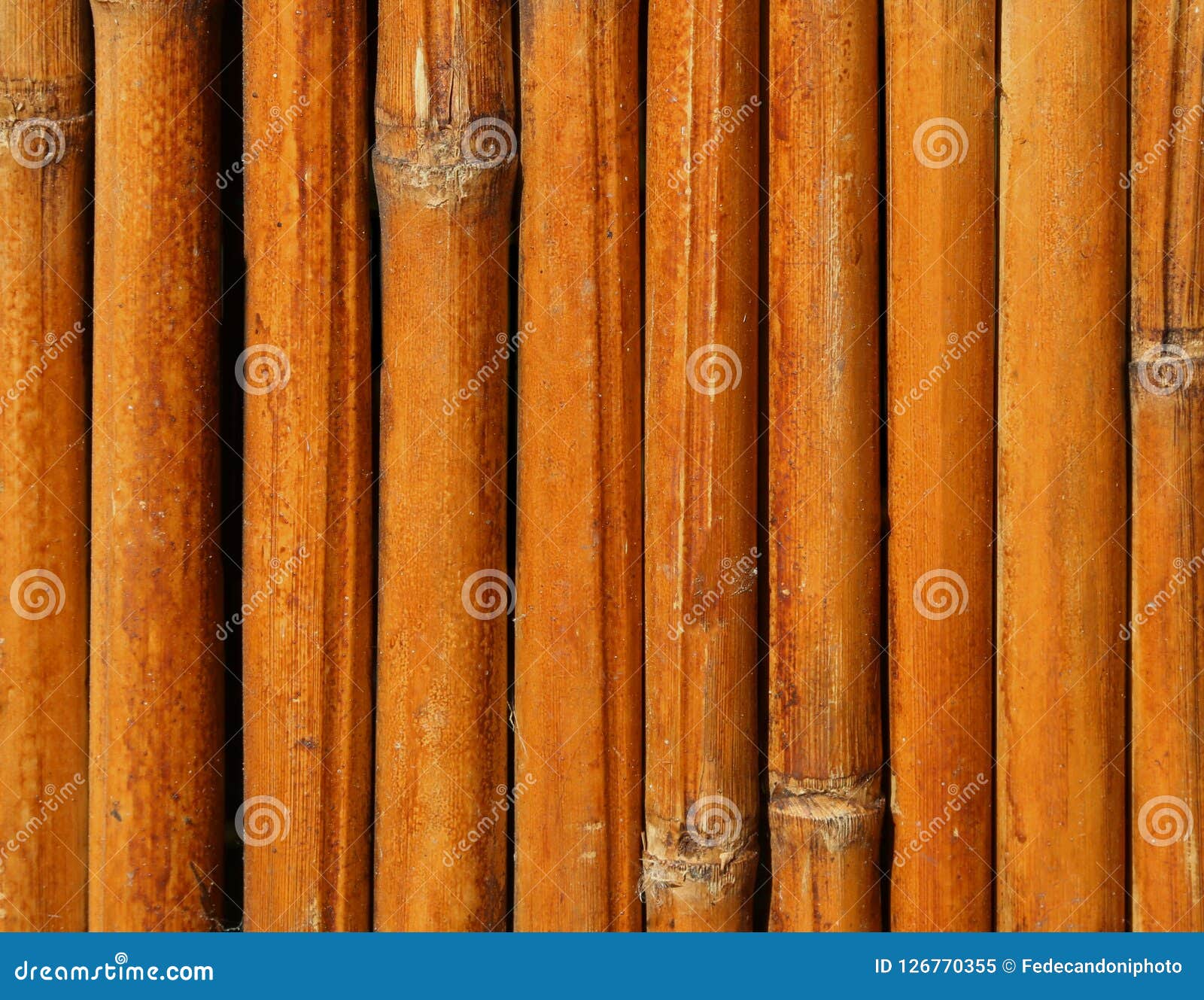 Dried bamboo reeds stock image. Image of cane, bamboos - 126770355