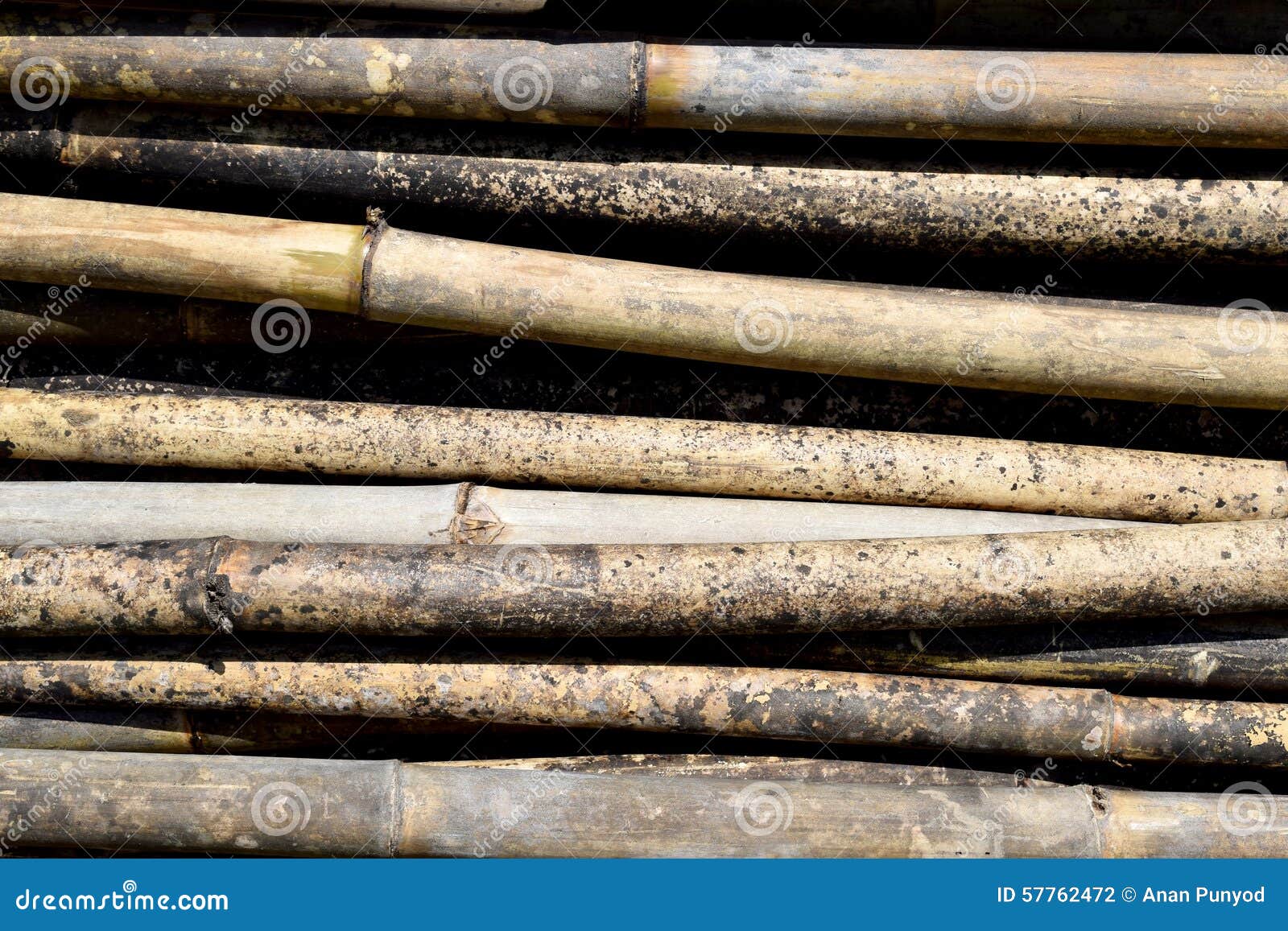 Bamboo Trunk Texture Royalty-Free Stock Image | CartoonDealer.com #66321142
