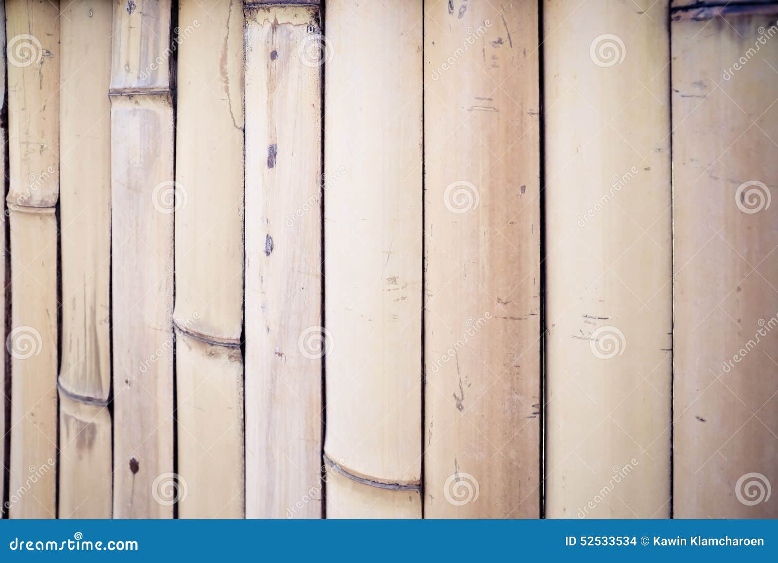 The dried bamboo wall stock photo. Image of dried, frame - 52533534