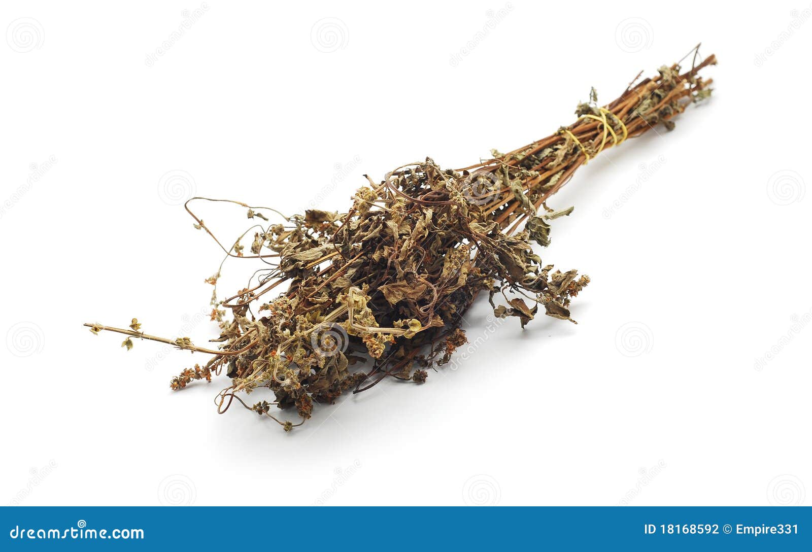 Dried basil stock photo. Image of spring, ingredient - 18168592