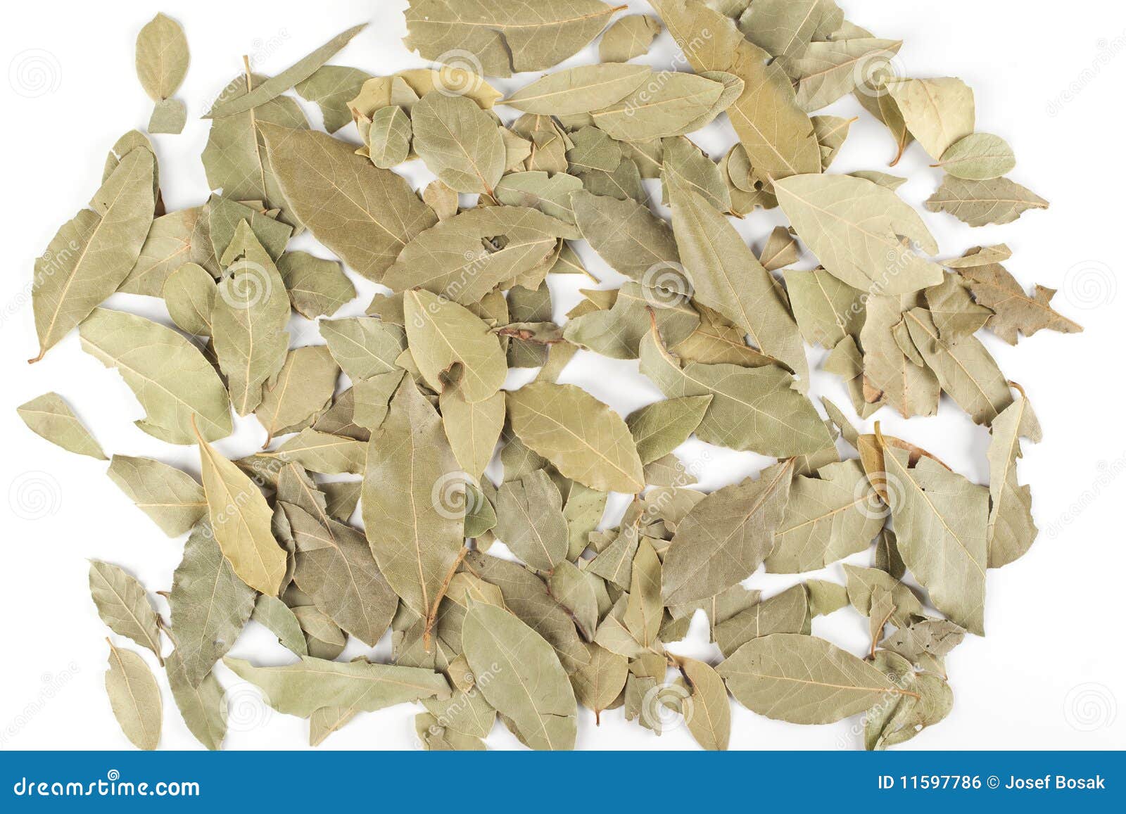 Dried bay leaves stock photo. Image of ingredient, spice - 11597786