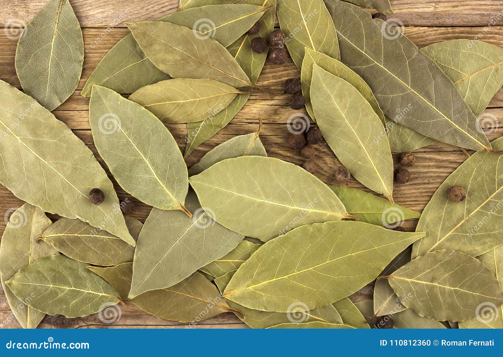 Dry Bay Laurel Leaves As Background Texture Stock Photo - Image of ...