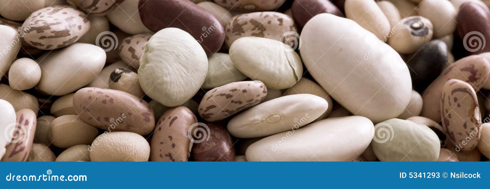 Dried Beans stock image. Image of lima, close, butter - 5341293