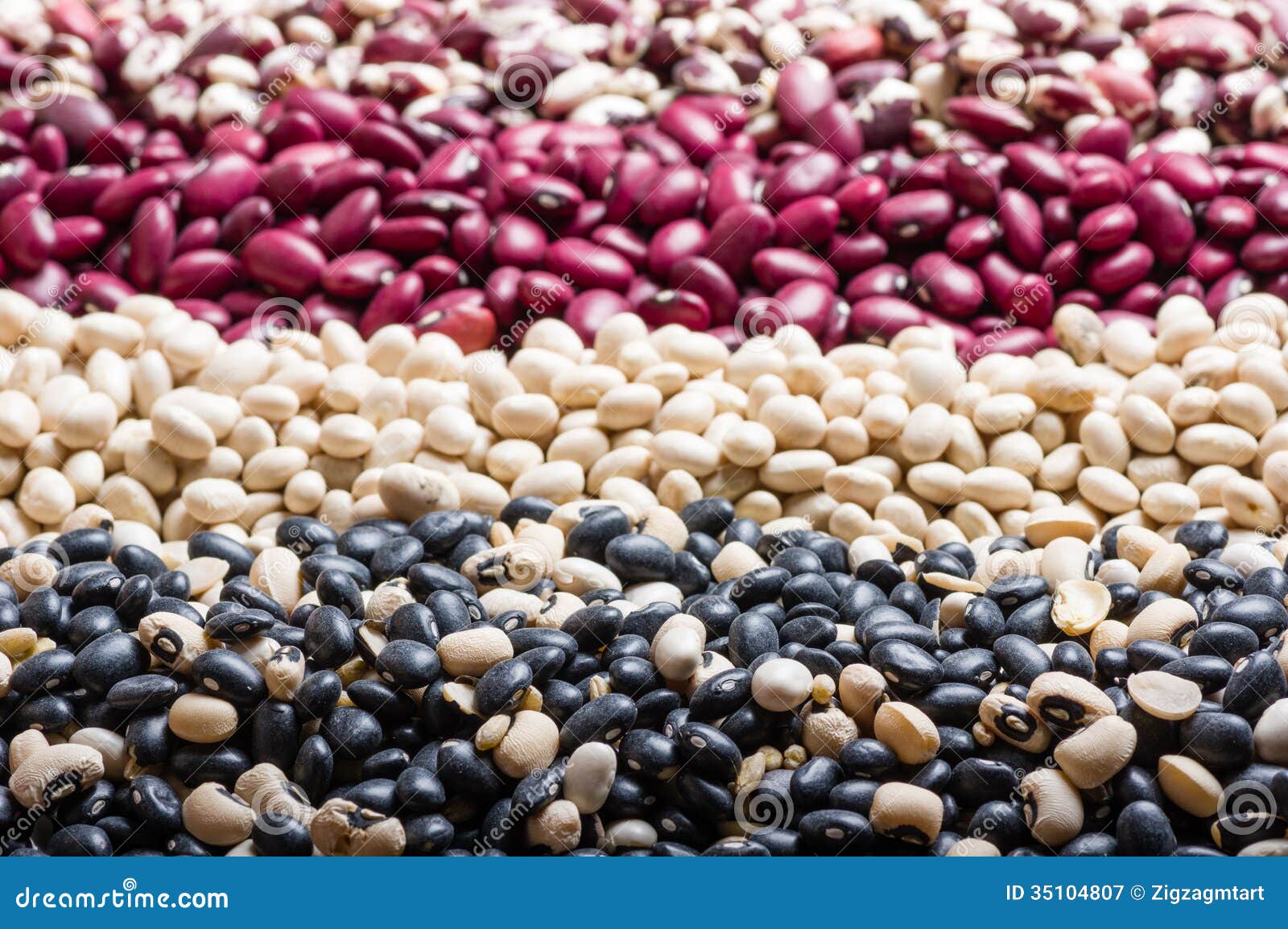 Dried Beans in Several Colors Stock Image - Image of legumes ...