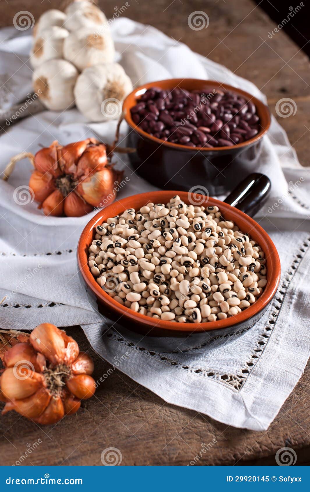 Dried Beans variety stock image. Image of nature, borlotti - 29920145