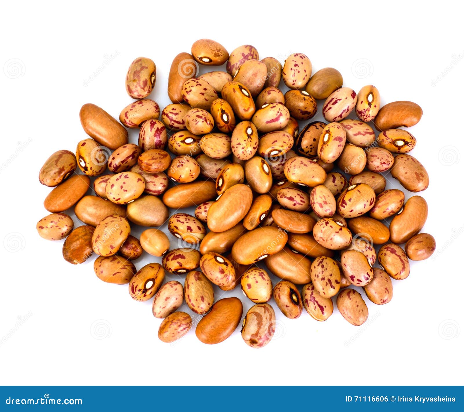 Dried Beans on White Background Stock Photo - Image of haricot, seed ...