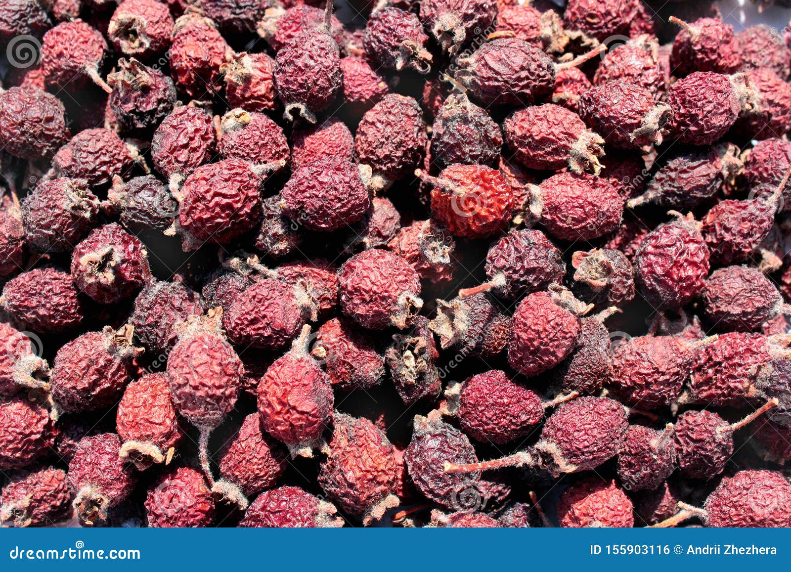 Dried Berries of Cinnamon Rose Stock Photo - Image of diet, dried ...