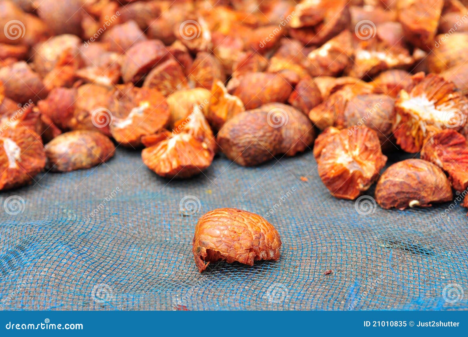 A Dried Betel Nut In A Sack Stock Photography | CartoonDealer.com #38153408