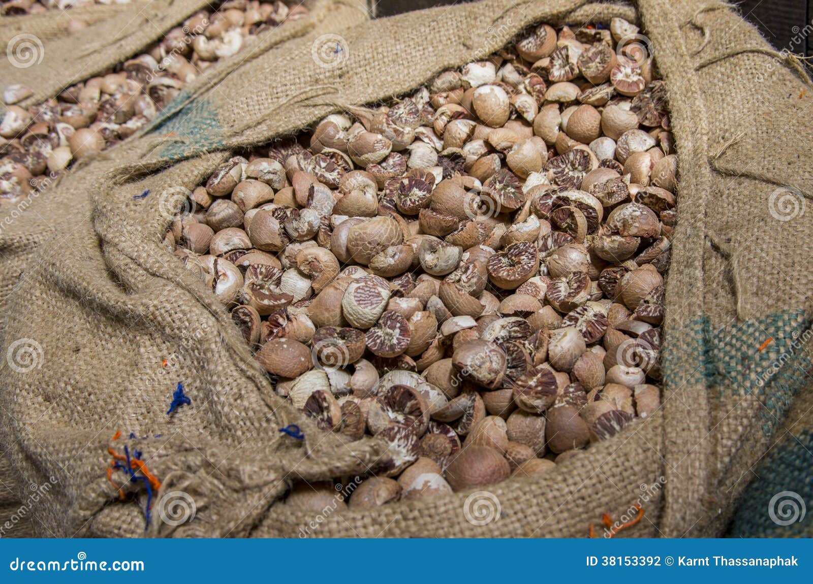 A Dried Betel Nut in a Sack Stock Photo - Image of grain, dried: 38153392