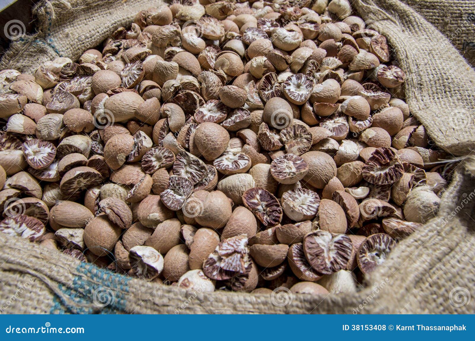 A Dried Betel Nut in a Sack Stock Photo - Image of food, betel: 38153408