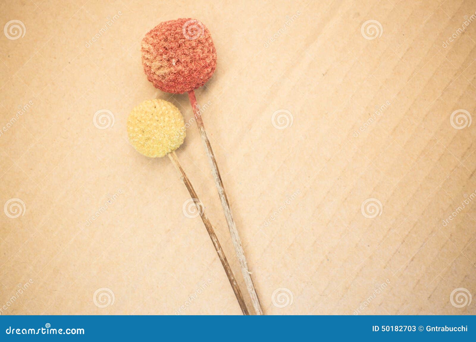 Dried billy buttons stock illustration. Illustration of nature - 50182703