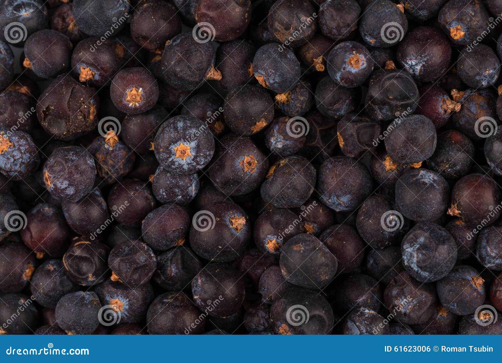 Dried black currant stock photo. Image of diet, backgrounds - 61623006