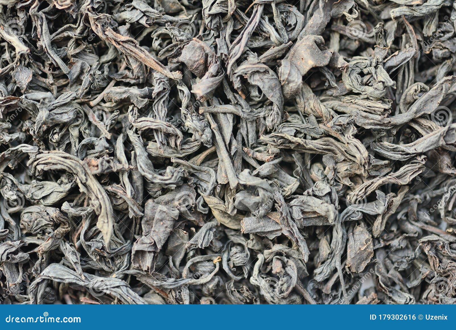 Dried Black Tea Leaves, Brew Close-up, Background Stock Photo - Image ...