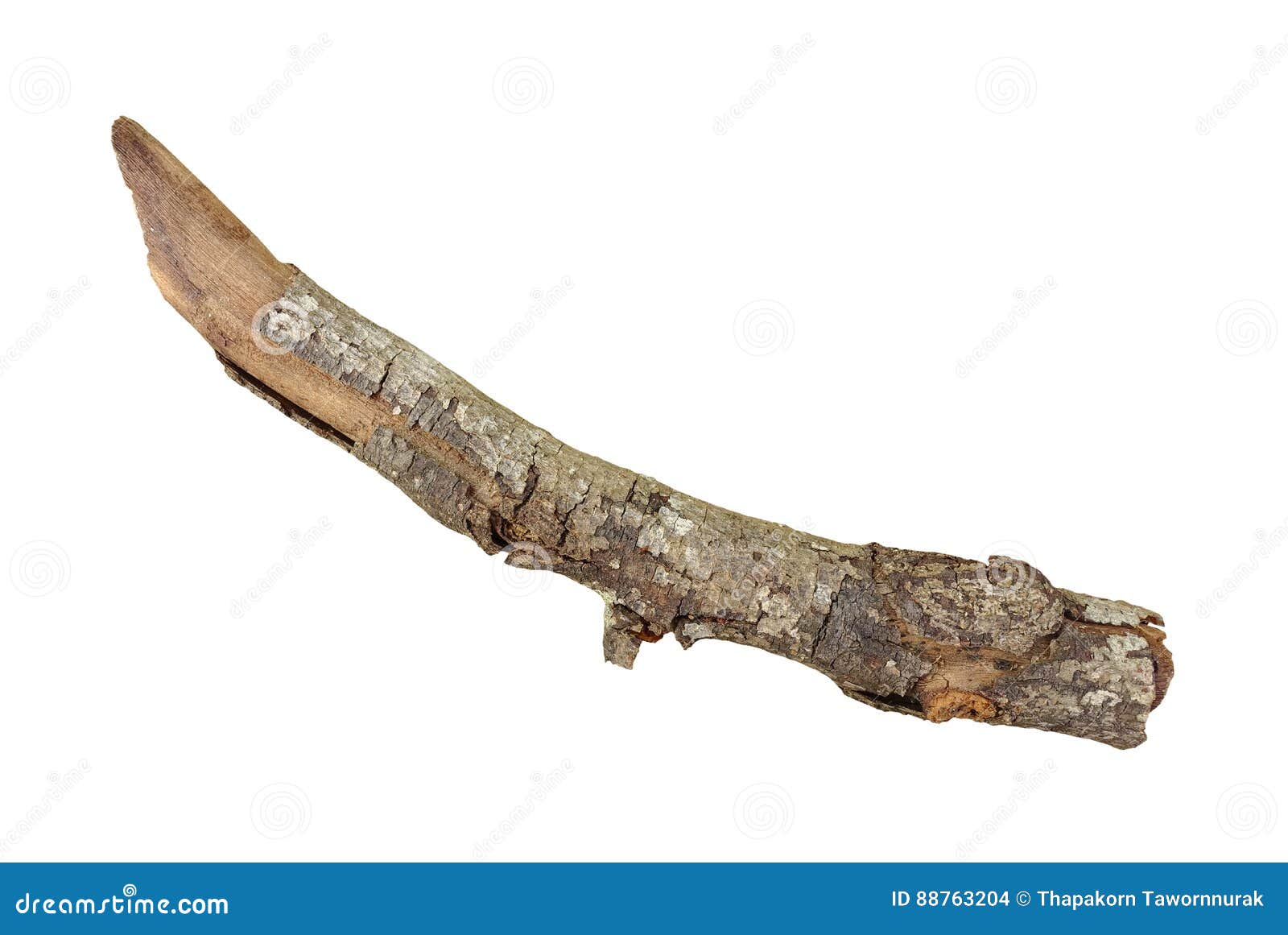 Dried branch stock photo. Image of detail, piece, structure - 88763204