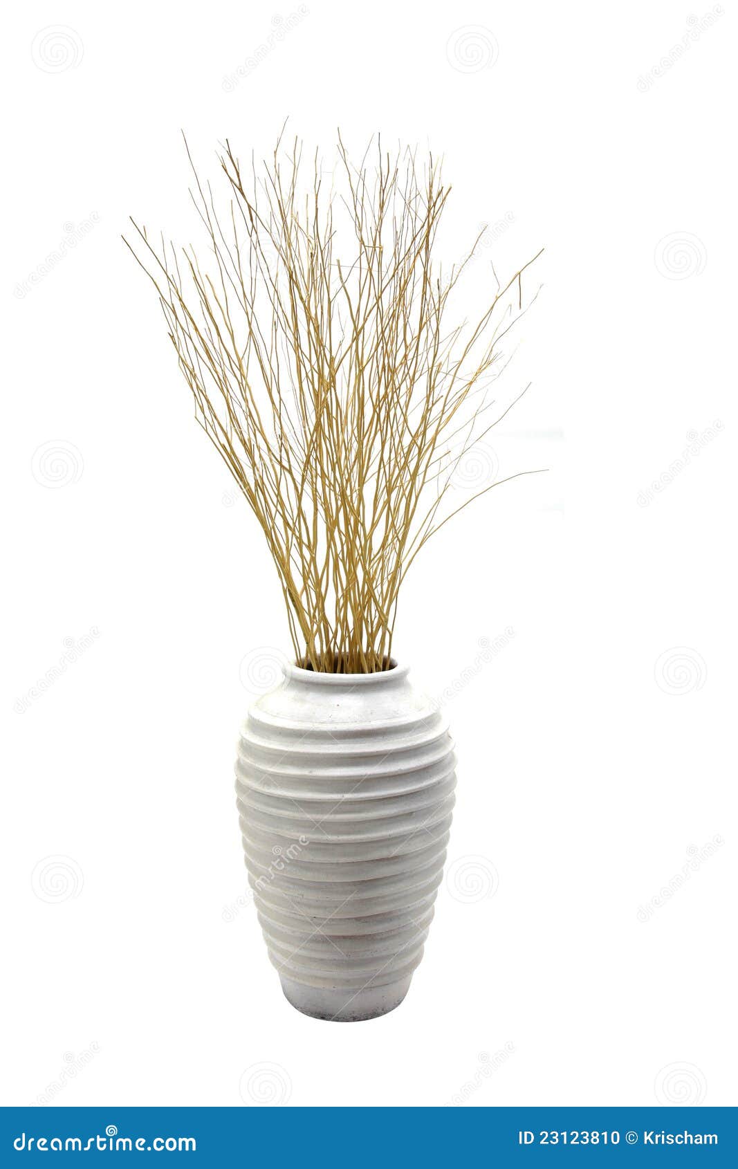 Dried branches stock photo. Image of decoration, elegant - 23123810