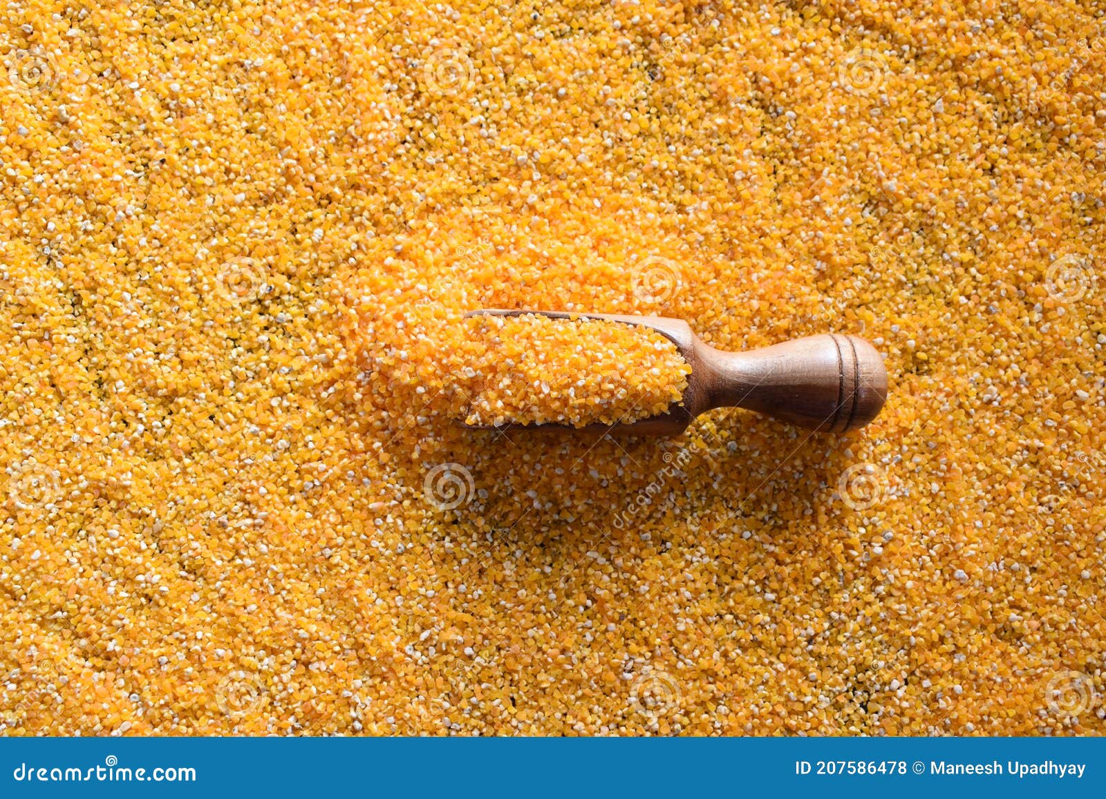 Dried broken corn kernels stock photo. Image of closeup - 207586478