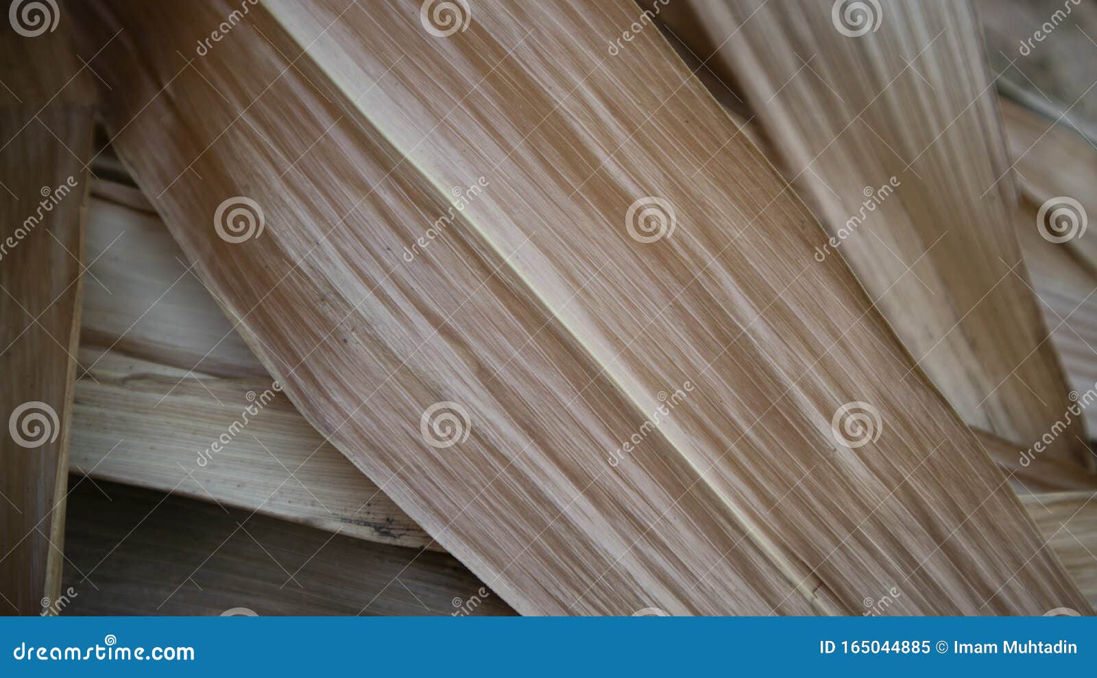 Dried Brown Corn Leaves with Natural Texture Stock Image - Image of ...