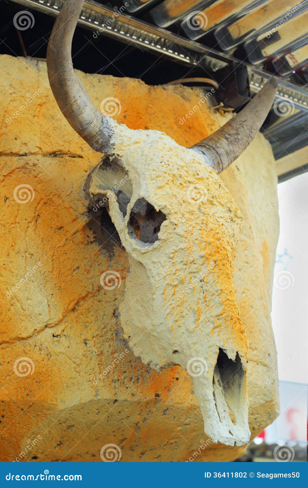 Dried Buffalo - the Wooden Wall Hanging. Stock Photo - Image of anatomy ...