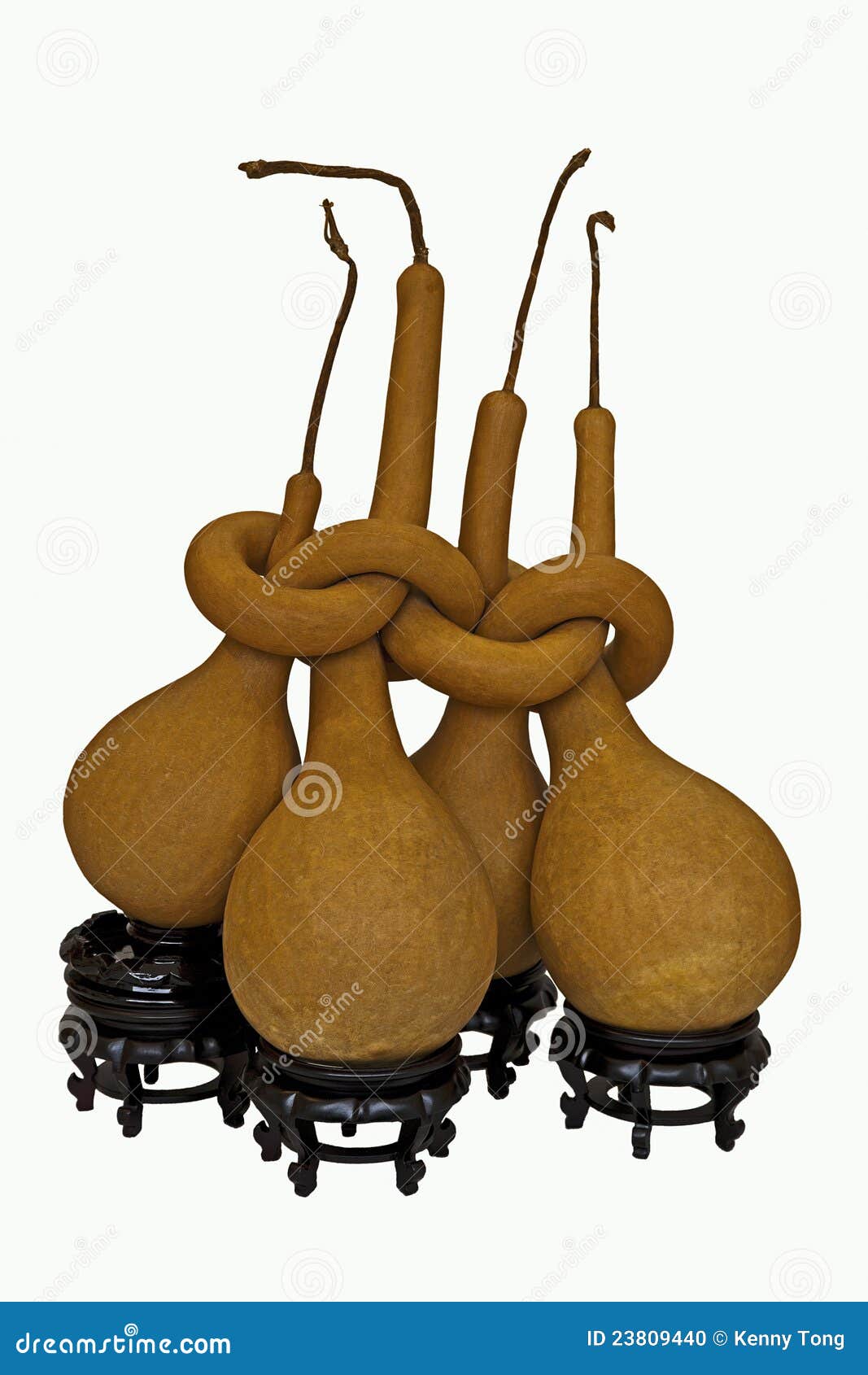 Dried Calabashes stock photo. Image of dried, brown, gourd - 23809440