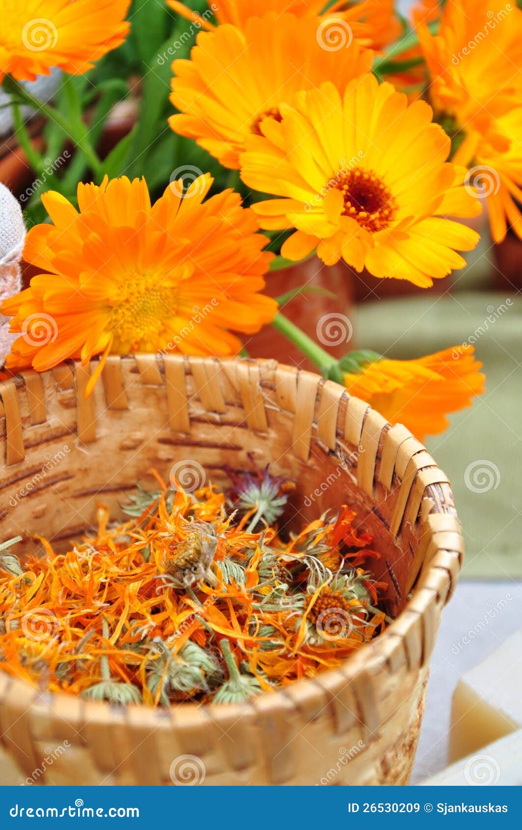 Dried calendula herbs stock image. Image of blooms, herb - 26530209