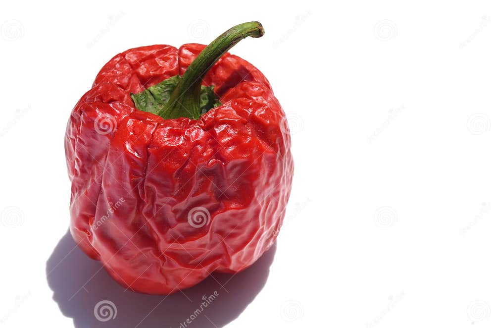 Dried Capsicum stock image. Image of vegetables, capsicum - 251467929