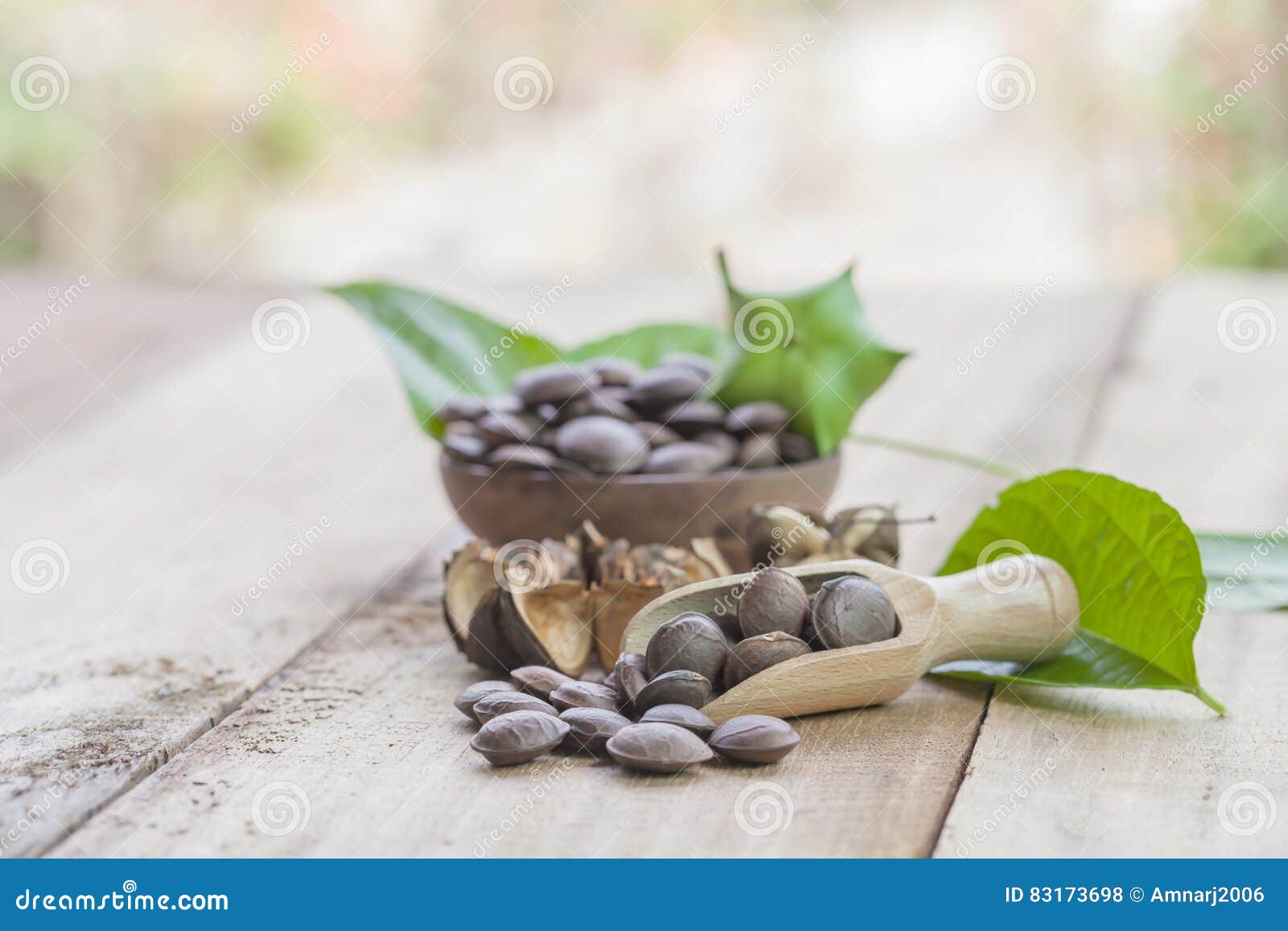 Dried Capsule Seeds Fruit of Sacha Inchi Peanut Stock Photo - Image of ...