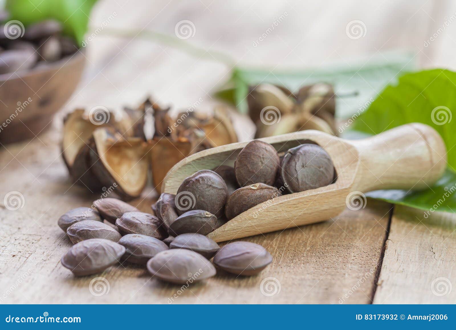 Dried Capsule Seeds Fruit Of Sacha Inchi Peanut Royalty-Free Stock ...