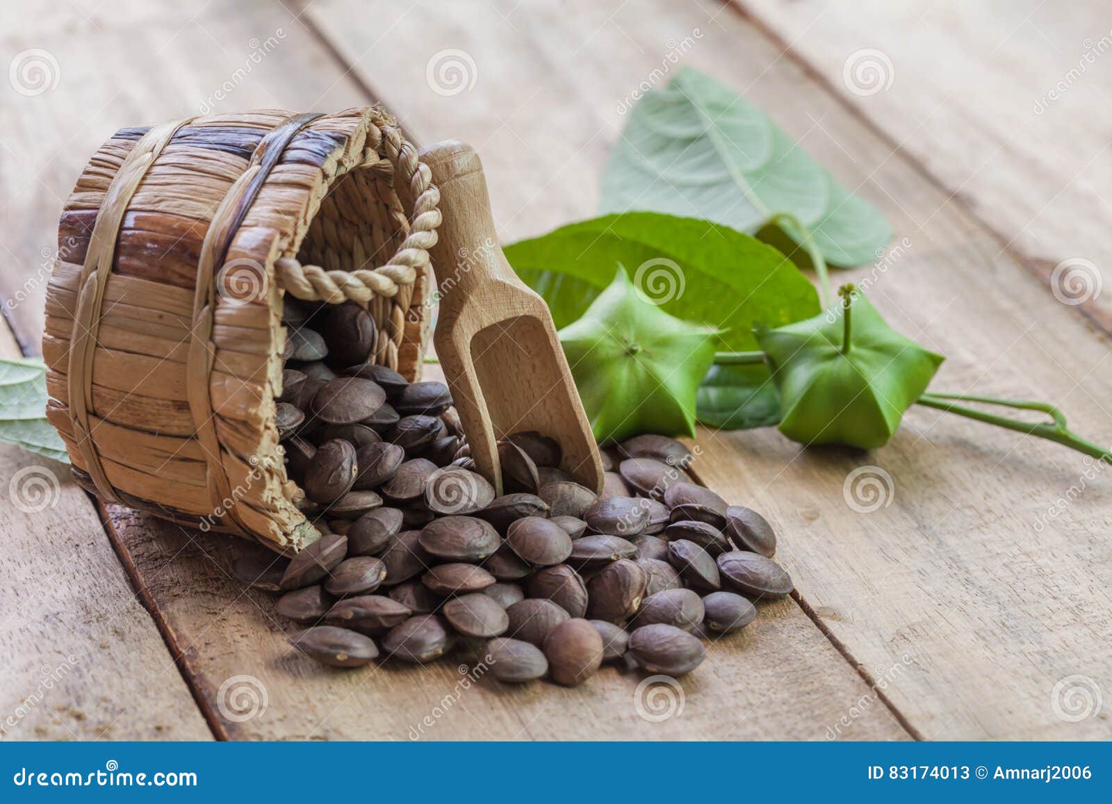 Dried Capsule Seeds Fruit of Sacha Inchi Peanut Stock Image - Image of ...