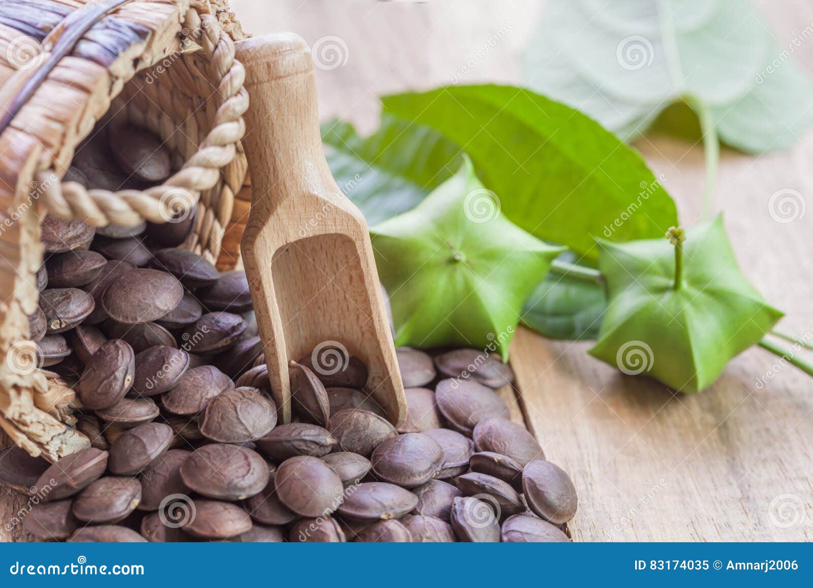 Dried Capsule Seeds Fruit Of Sacha Inchi Peanut Royalty-Free Stock ...