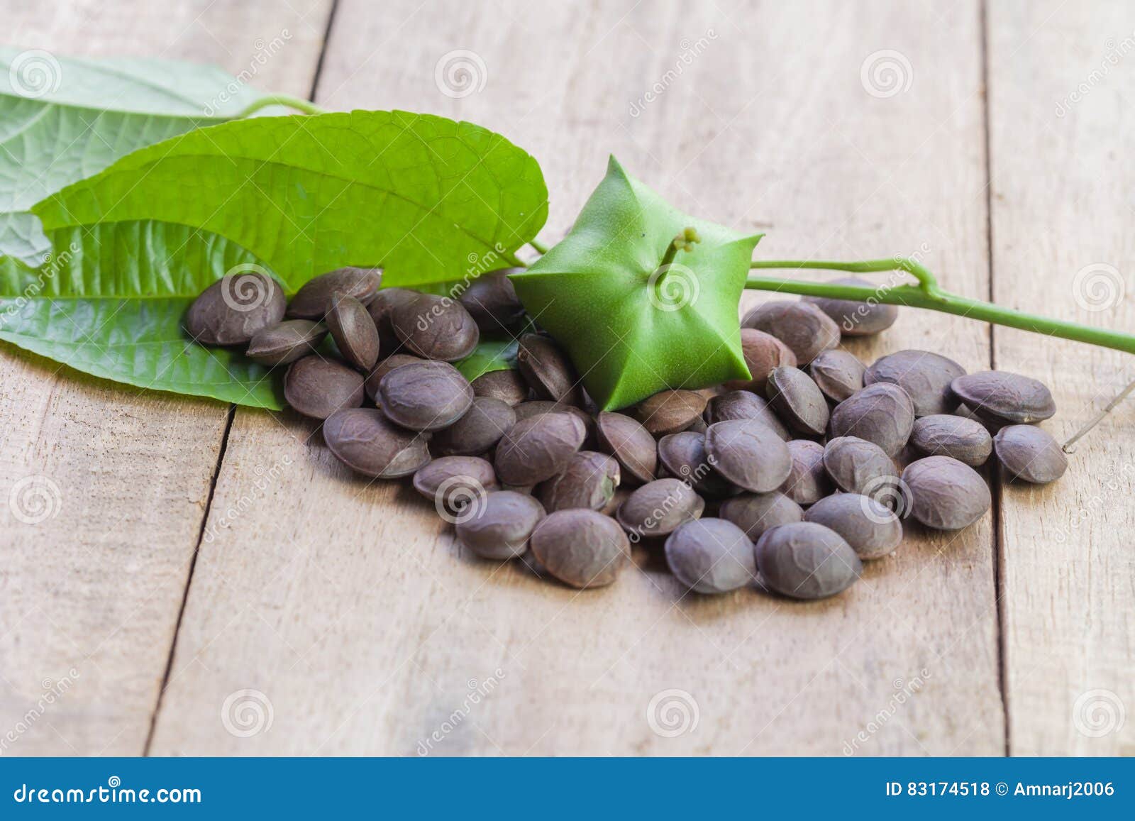 Dried Capsule Seeds Fruit of Sacha Inchi Peanut Stock Photo - Image of ...