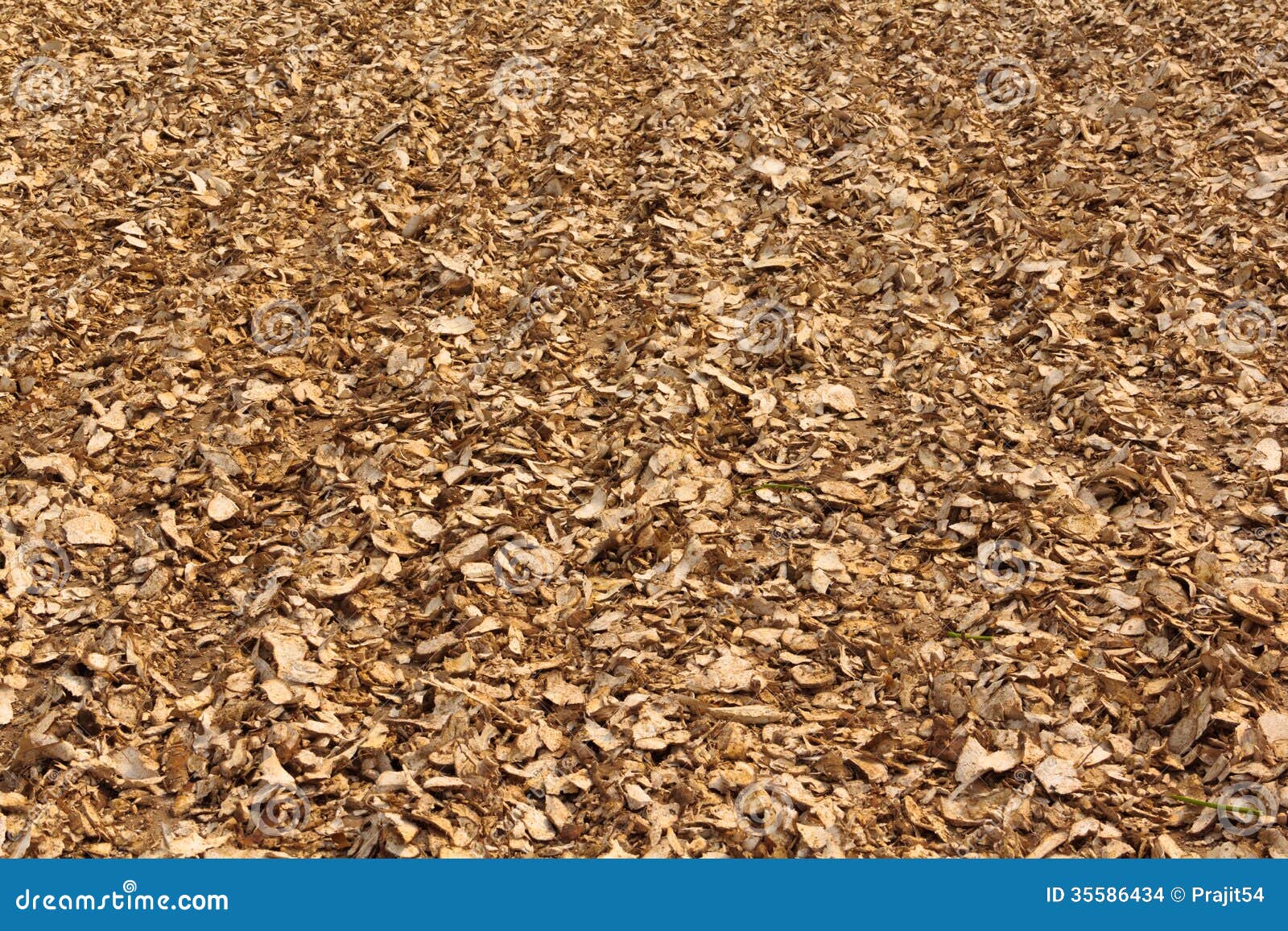 Dried cassava stock photo. Image of origin, diner, foodstuffs - 35586434