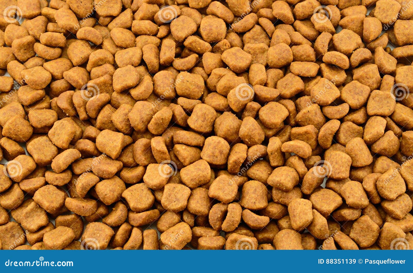 Dried cat food. Background stock image. Image of meal - 88351139