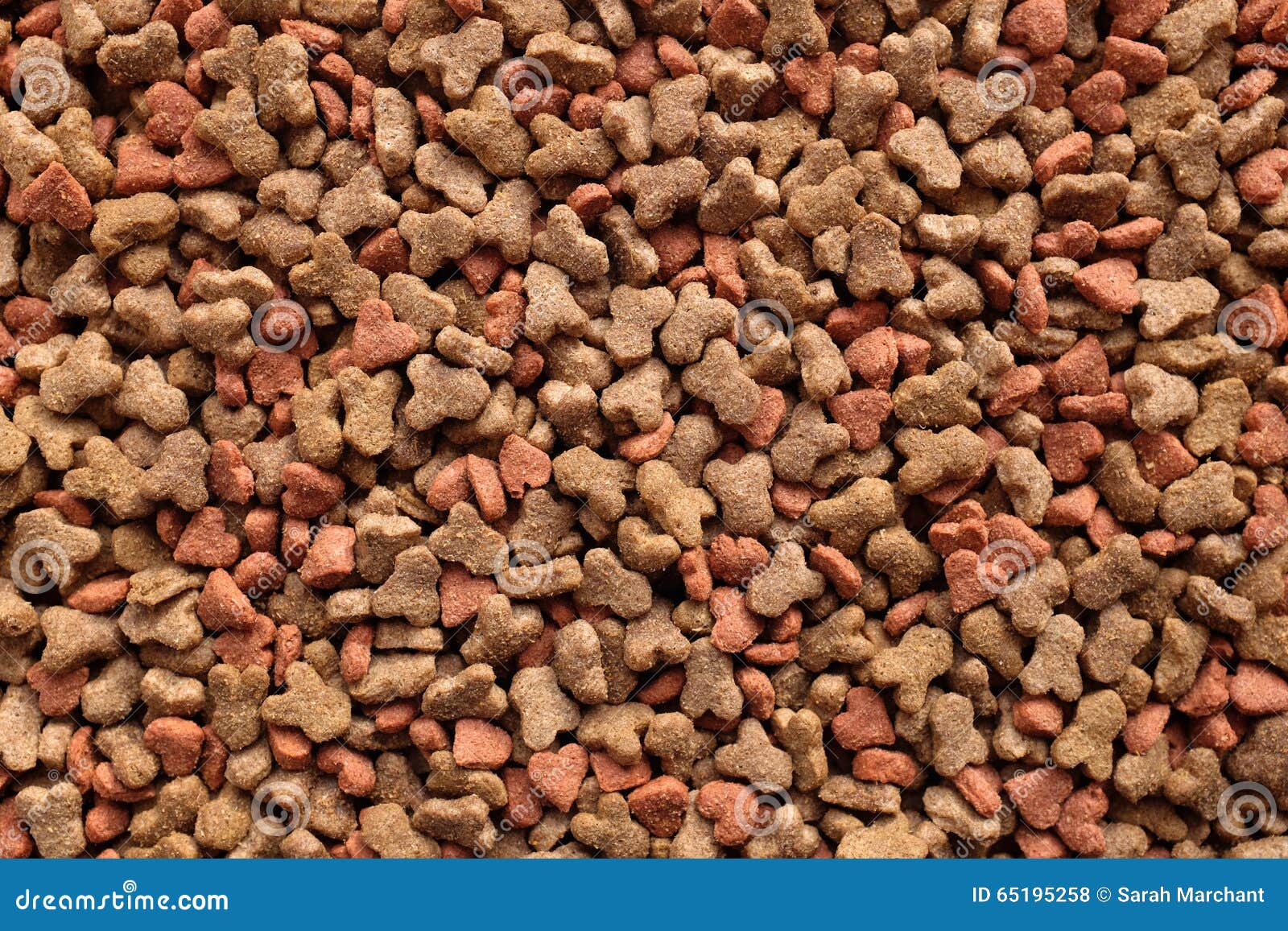 Dried cat food background stock photo. Image of brown - 65195258