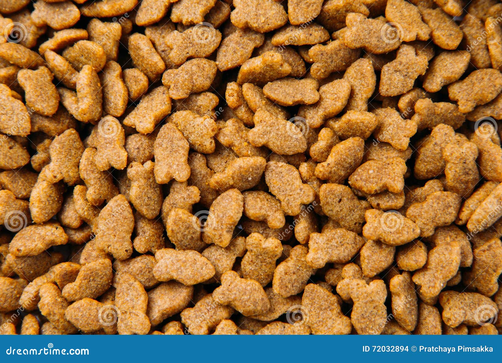 Dried cat food background stock photo. Image of healthy - 72032894