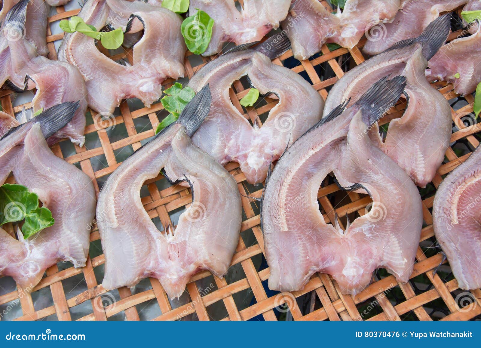 Dried catfish stock photo. Image of fishing, closeup - 80370476