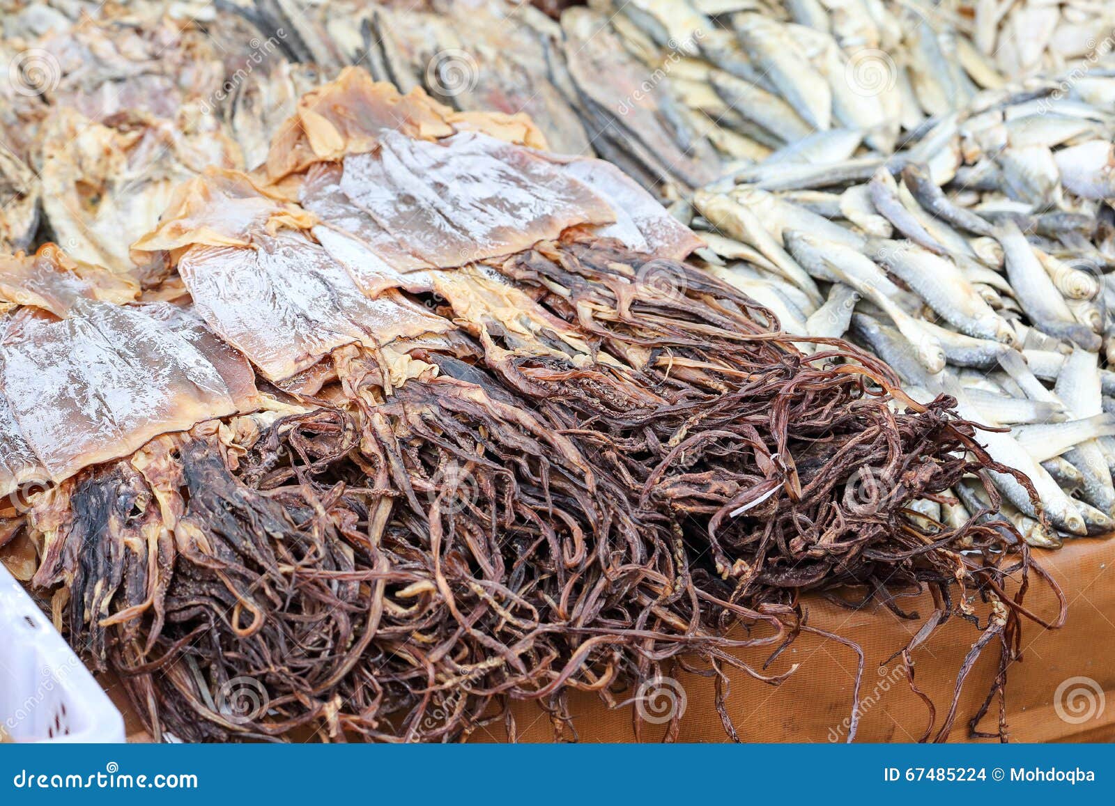 Dried cattle fish squid stock photo. Image of protein - 67485224
