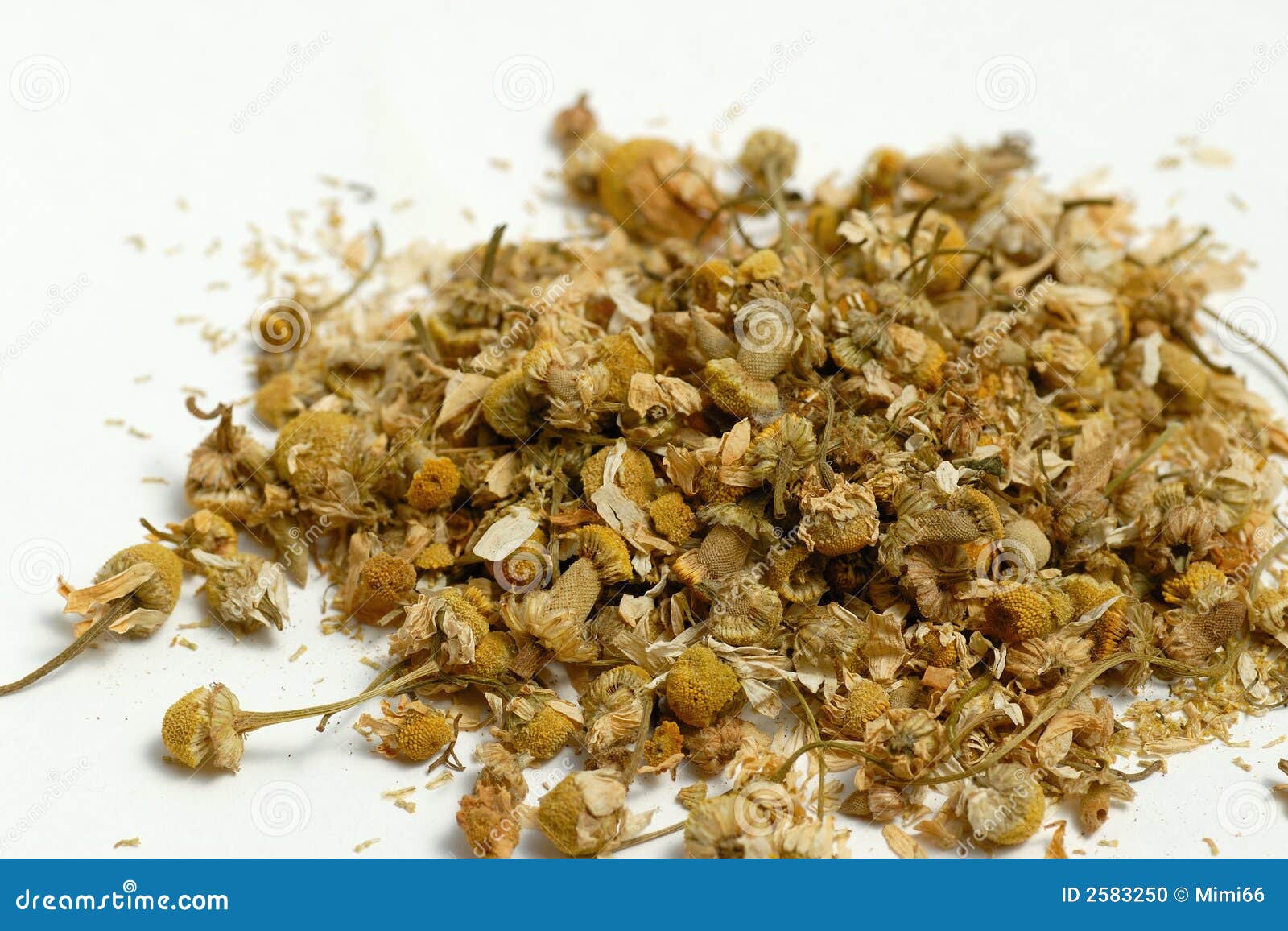 Dried chamomile blossoms stock photo. Image of herb, medicinal - 2583250