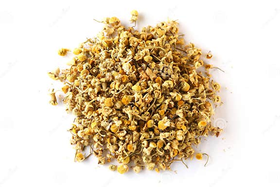 Dried Chamomile Buttons Isolated on White Background. Stock Photo ...