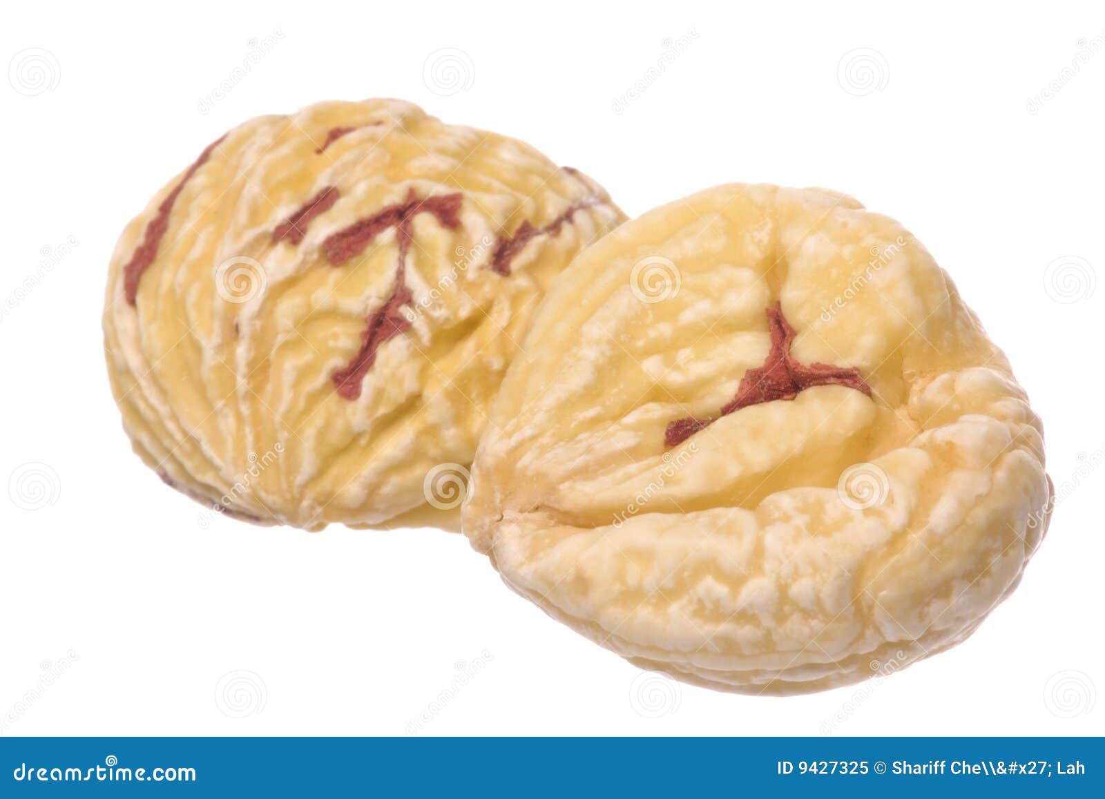Dried Chestnuts Isolated stock image. Image of chestnut - 9427325