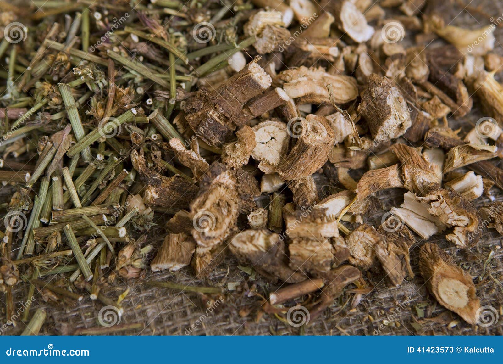Dried Chicory (dry Medicinal Herbs) Stock Photo - Image of herbal ...