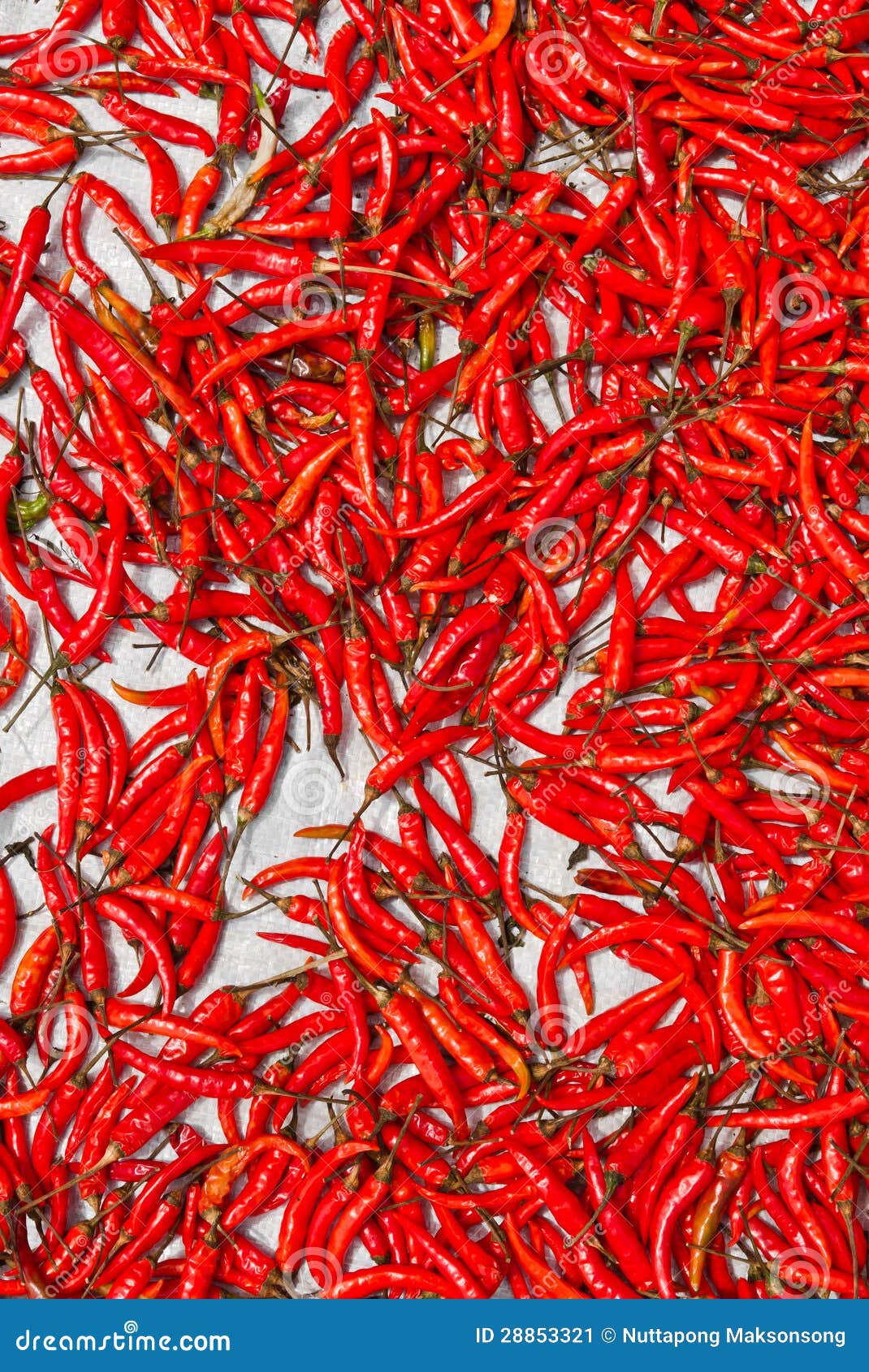 Dried Chili Background Texture Stock Image - Image of chilli, cayenne ...