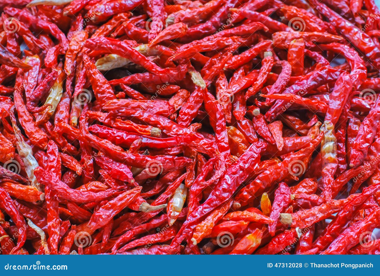 The Dried Chili stock photo. Image of food, market, diet - 47312028