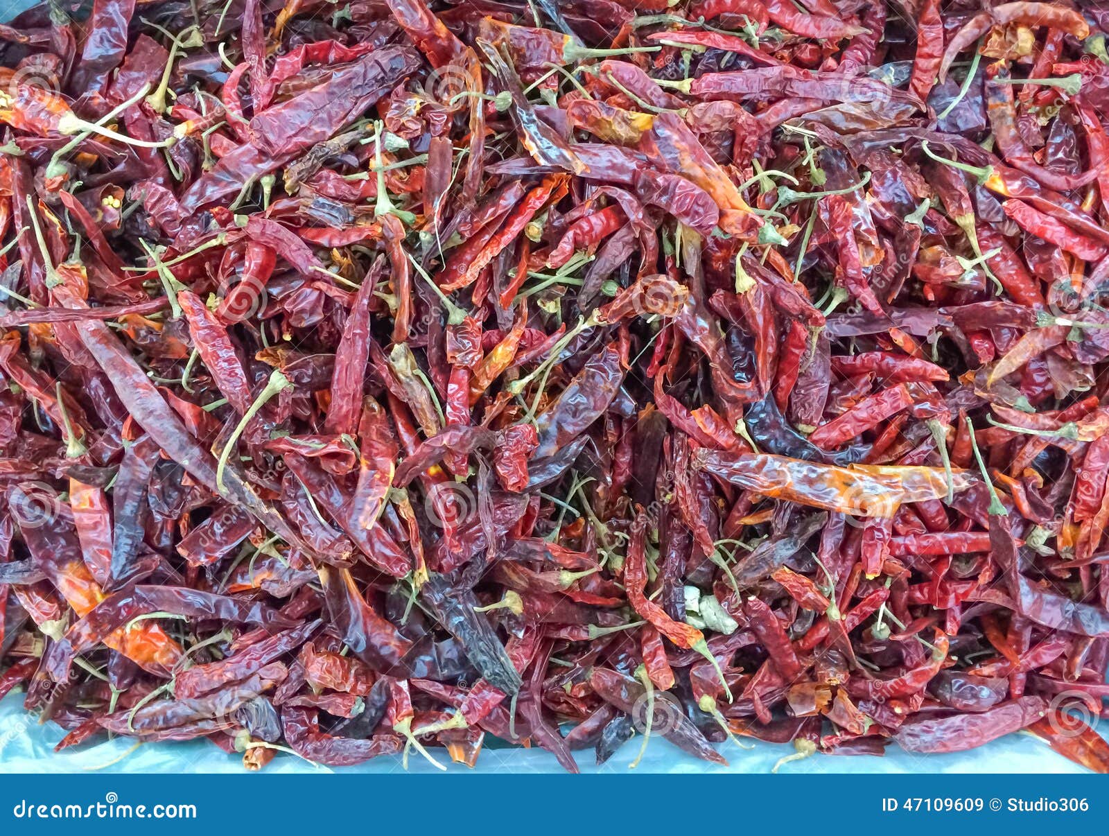Dried chili stock image. Image of organic, chili, cayenne - 47109609