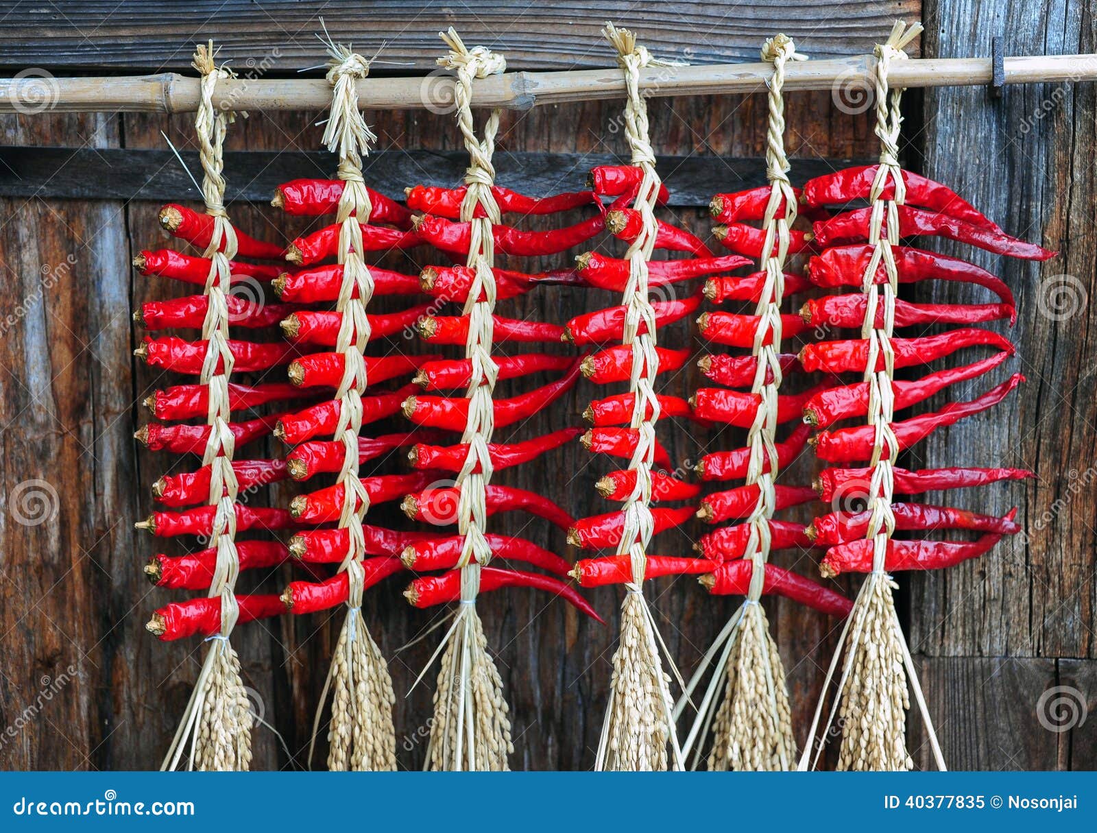 Dried Chili S Hanging on Wall Stock Image - Image of food, seasoning ...
