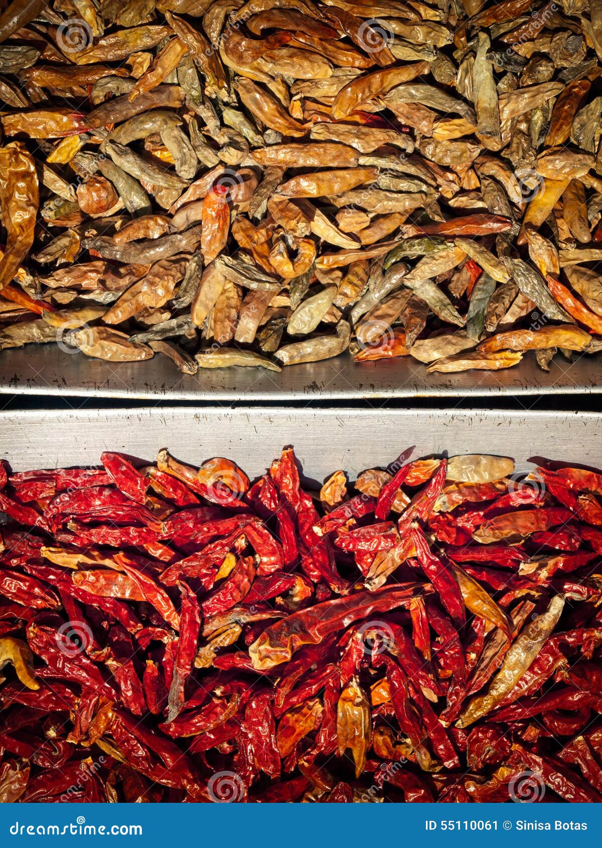 Dried chili stock image. Image of vegetables, organic - 55110061