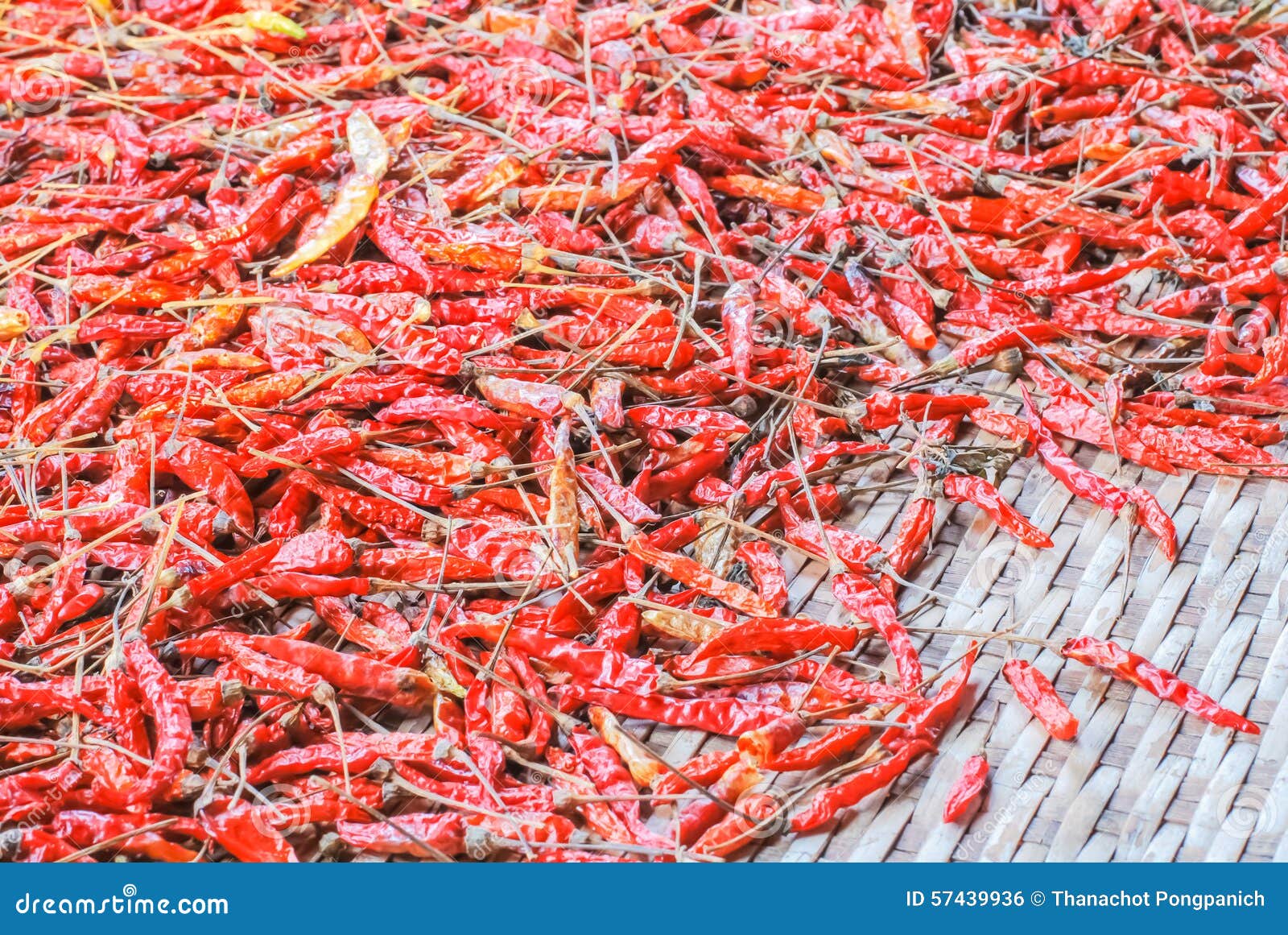 Dried chilies stock photo. Image of kitchen, dried, mexican - 57439936
